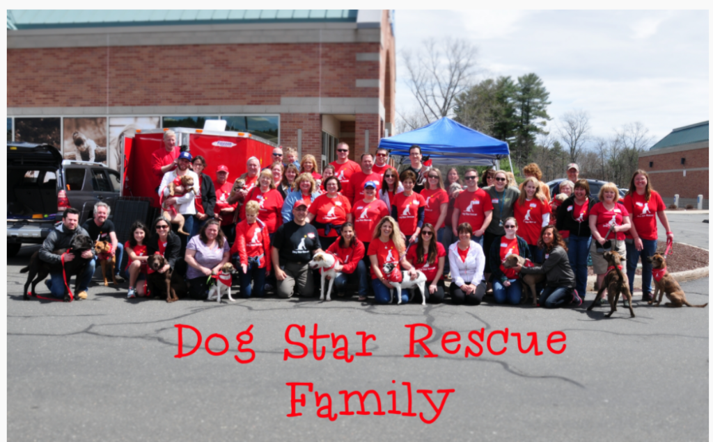 Dog Star Rescue | Hartford CT Dog Rescue | CT Dog Gone Recovery