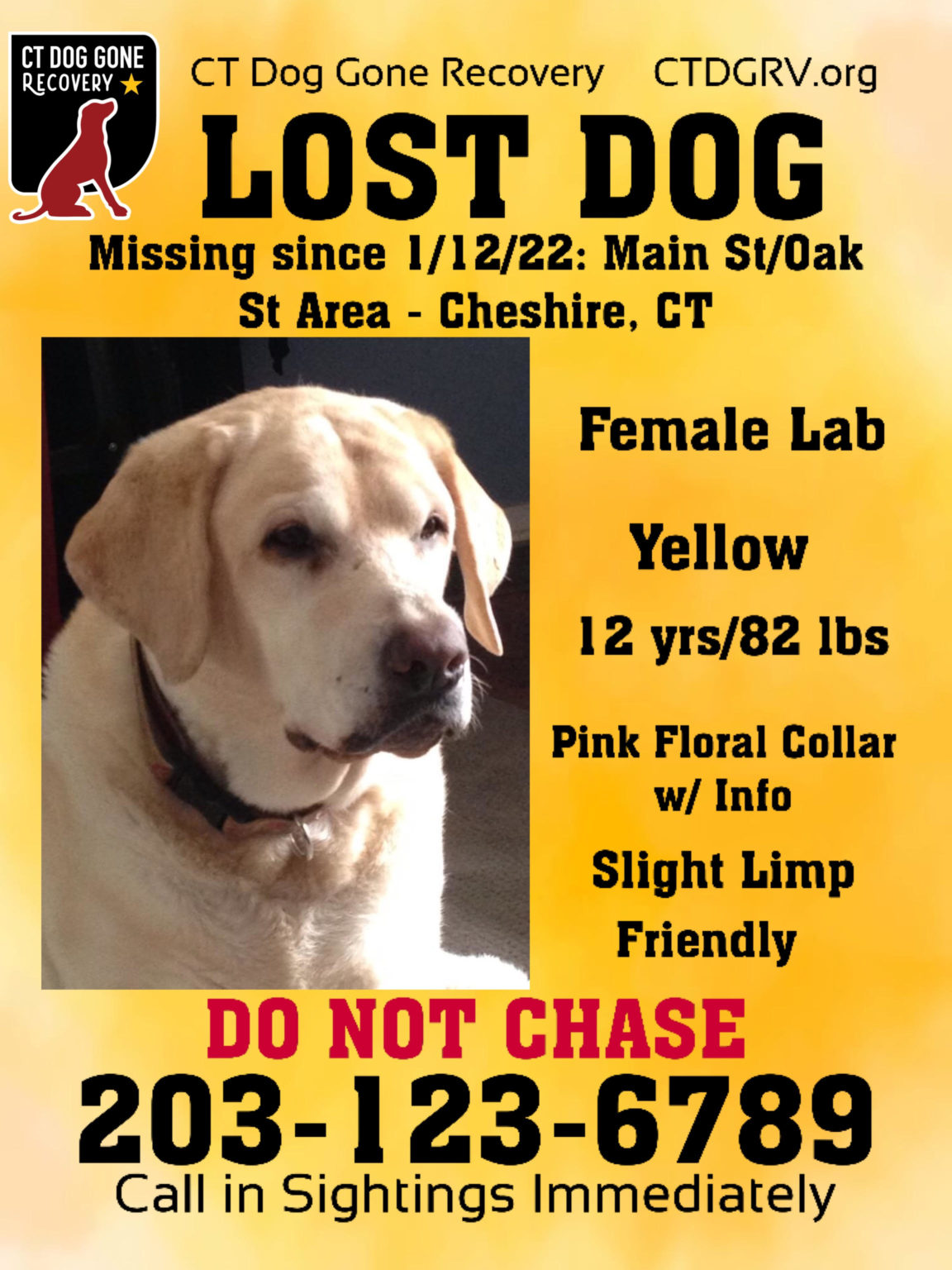 Missing Dog Tips | Finding Lost Dog Tips | CT Dog Gone Recovery